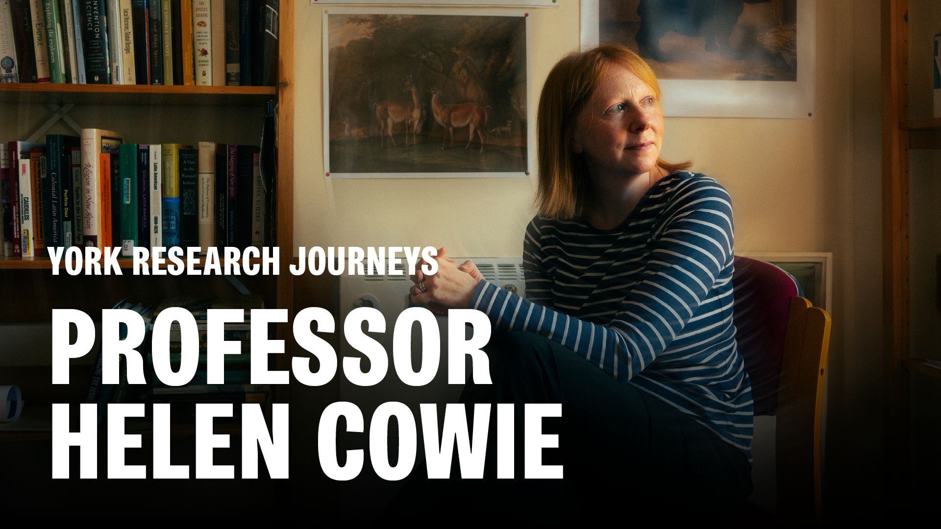 YORK RESEARCH JOURNEYS - Helen Cowie